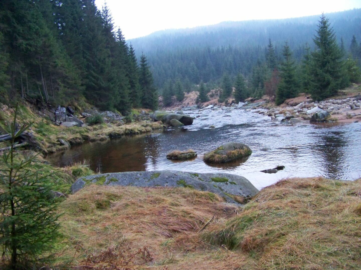 Nejdelší řeky ČR a Evropy a tipy na výlety v okolí - Human.cz